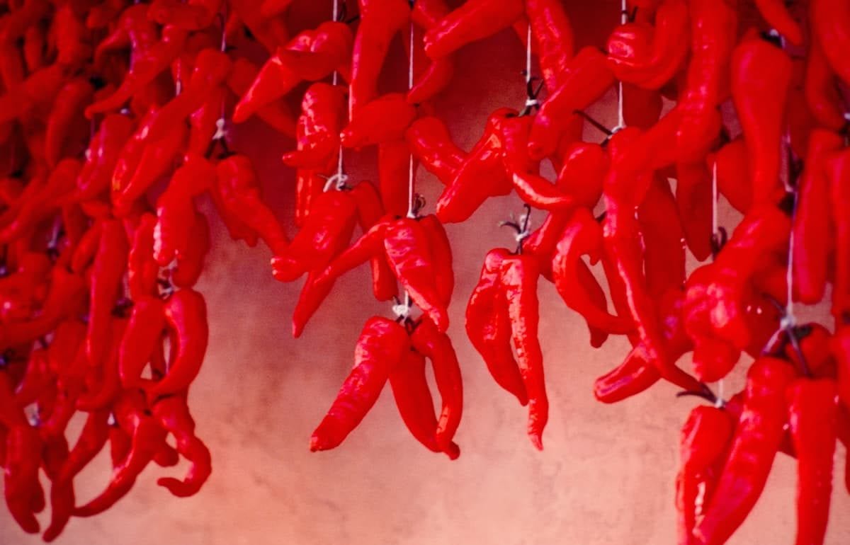 Spicy Chili Peppers: How I Learned to Love Playing With Fire - Aerate
