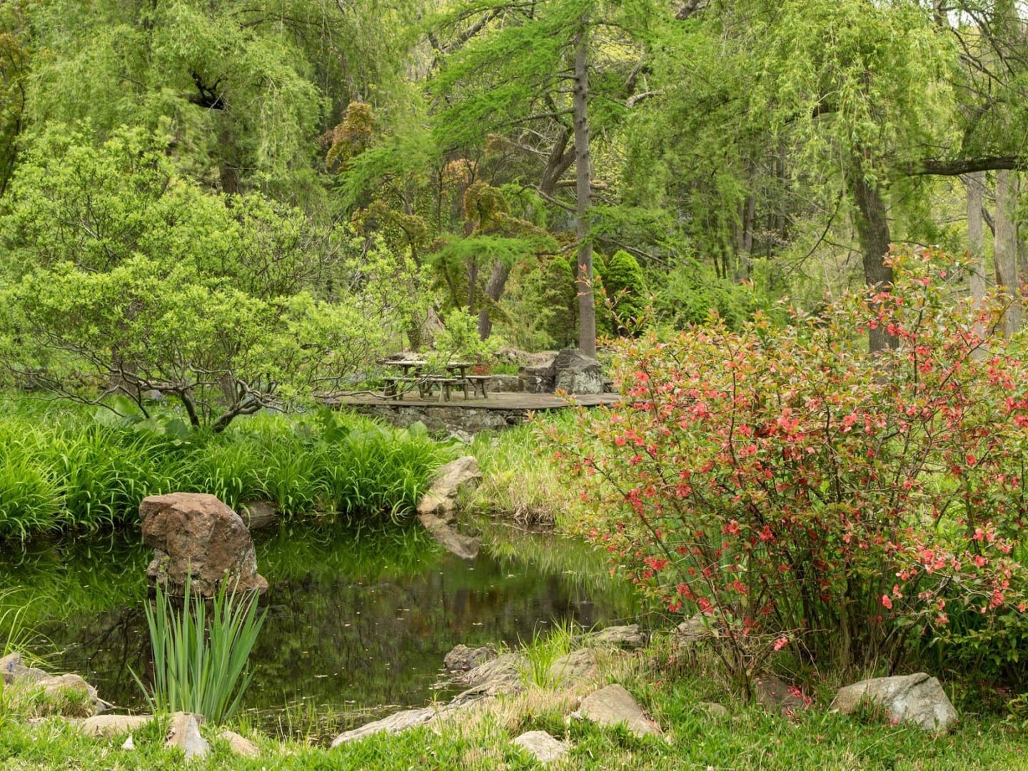 Private Edens: Inside 12 Spectacular Secluded Gardens | Aerate