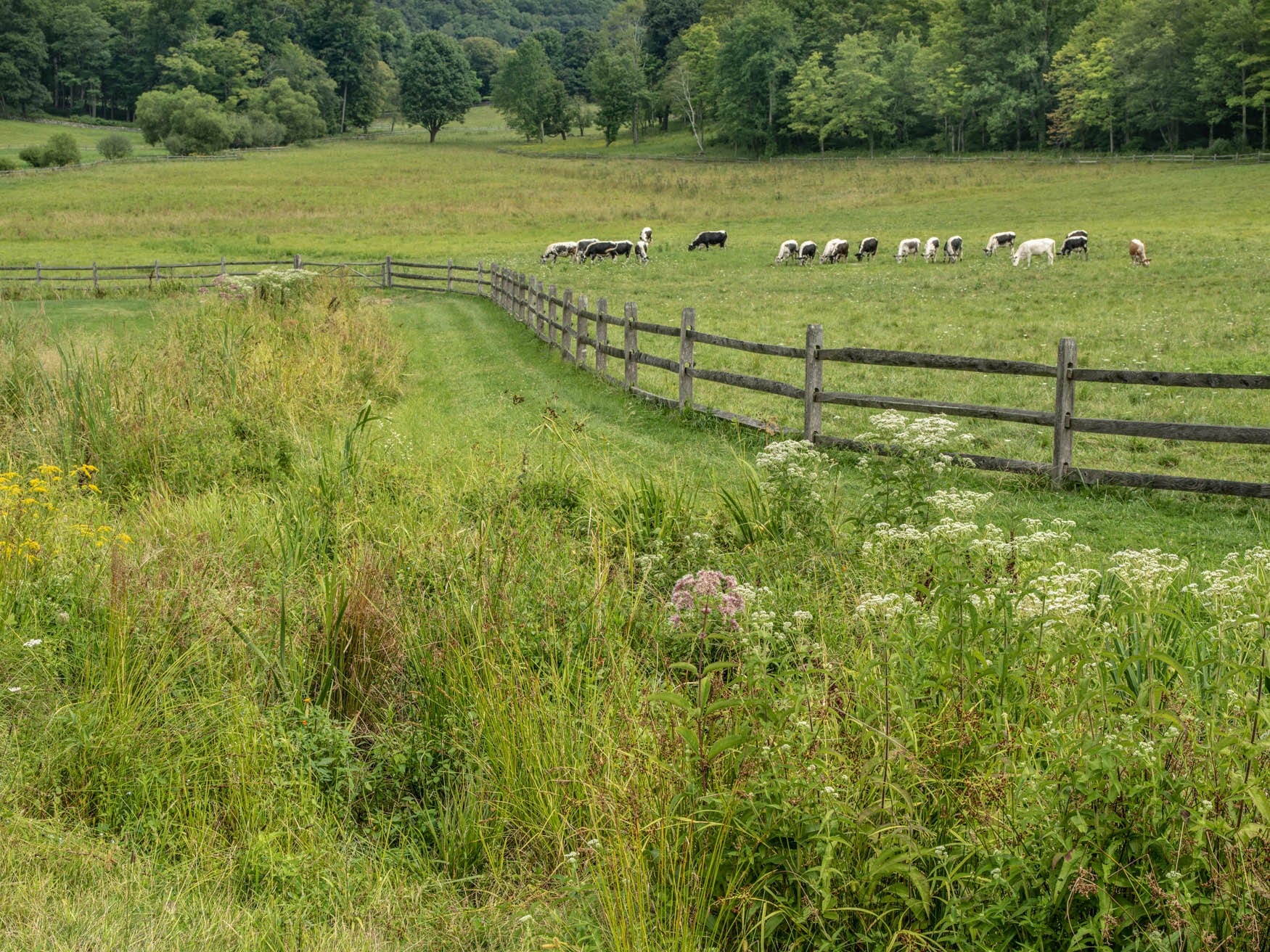 Private Edens: Inside 12 Spectacular Secluded Gardens | Aerate