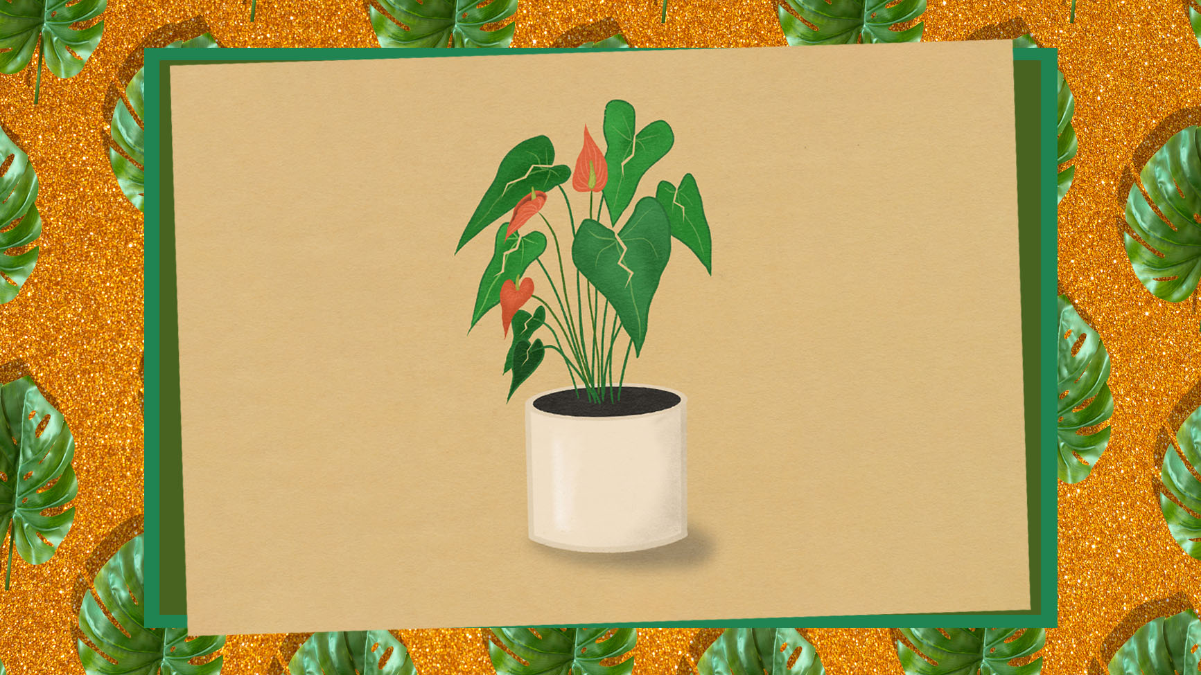 Leaving My Houseplants Was the Break-up That Almost Broke Me - Aerate