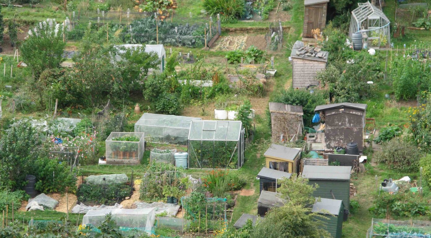 Yard Notes: The Plot Against Big Plots | Aerate